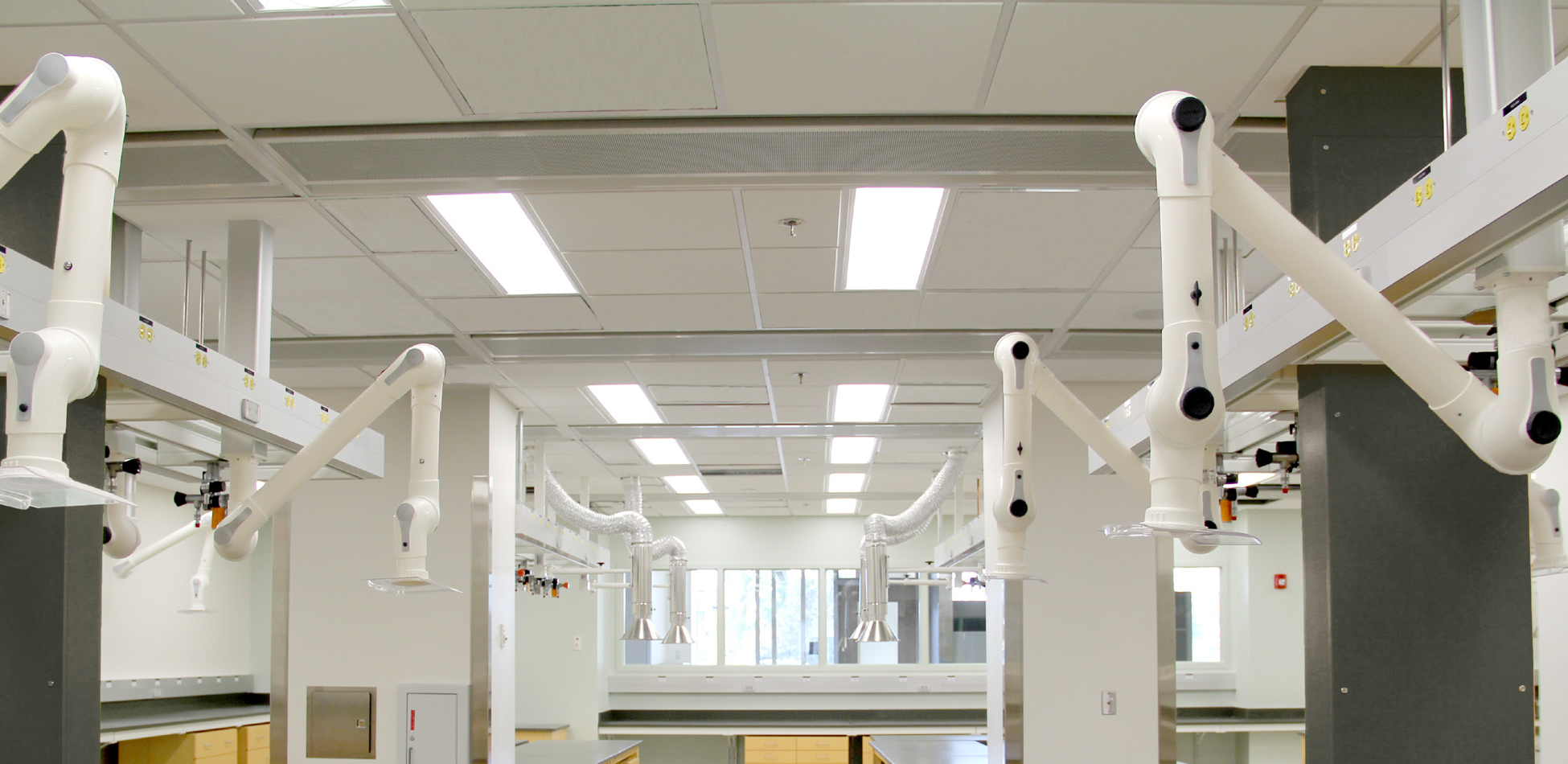 lev extraction explained